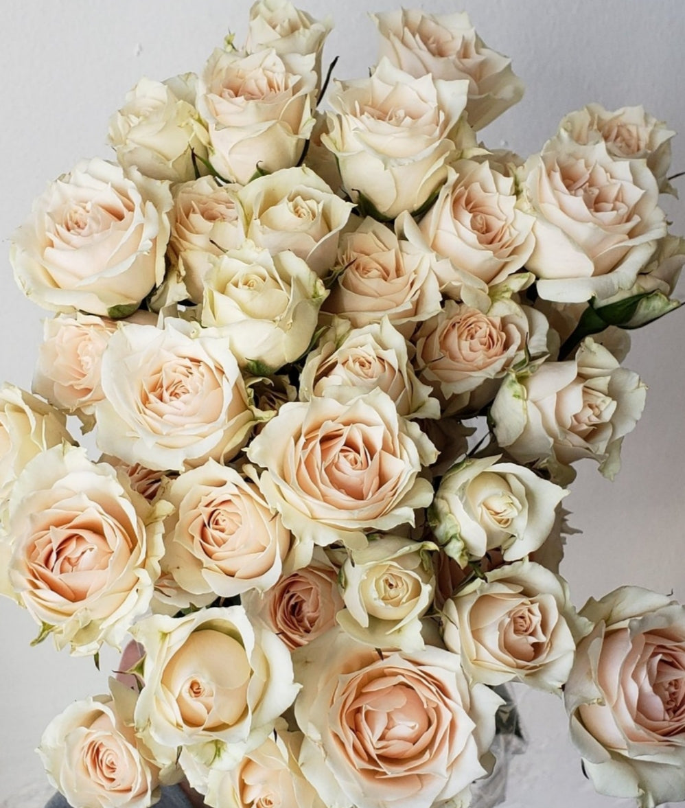 Spray Roses – Import Flowers Nashville